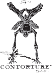 CONTORTURE ®: Contortion & Flexibility Training Video Course